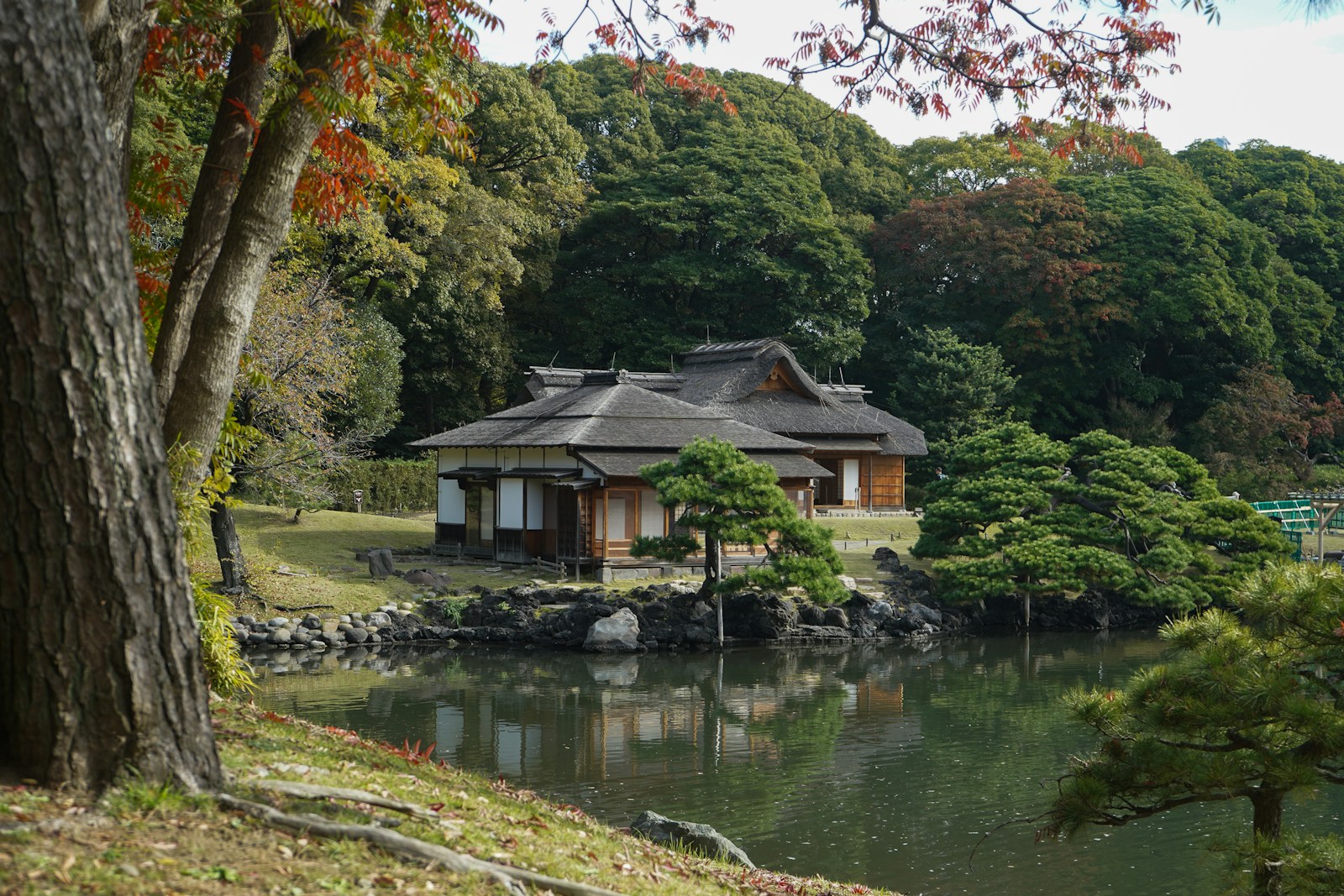 Where to Stay in Naoshima: Best Hotels, Benesse House & Ryokan Booking ...